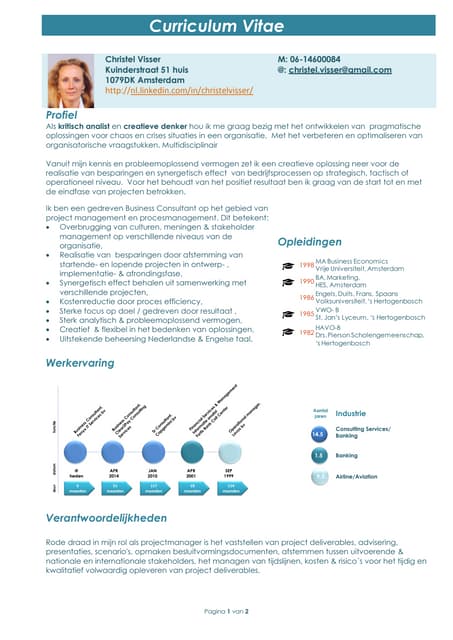 Curriculum Vitae Joeri van der Kraan | PDF