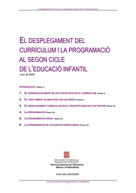 Unitat De Programació Model Infantil | PDF