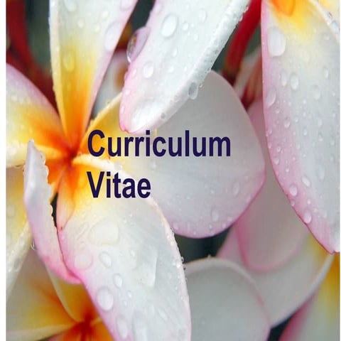 Curriculum Vitae | PPT
