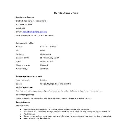 Curriculum vitae | PDF