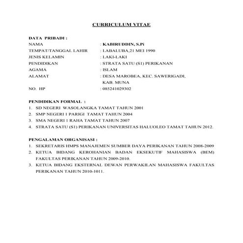 Curriculum vitae | DOCX