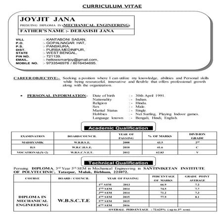 Curriculum vitae | PDF
