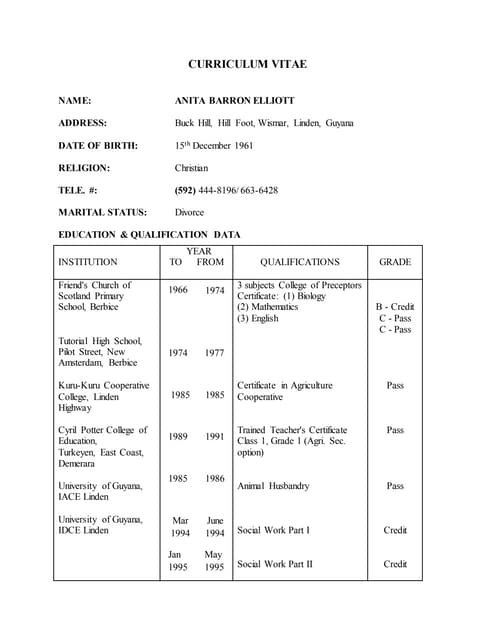 CURRICULUM VITAE SHORT | PDF