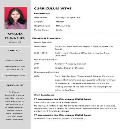 IELMY RESTINA (CV) | PDF