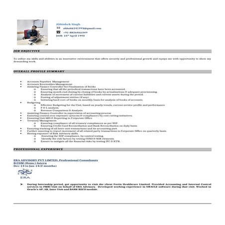 Curriculum Vitae : Finance & Accounts | PDF