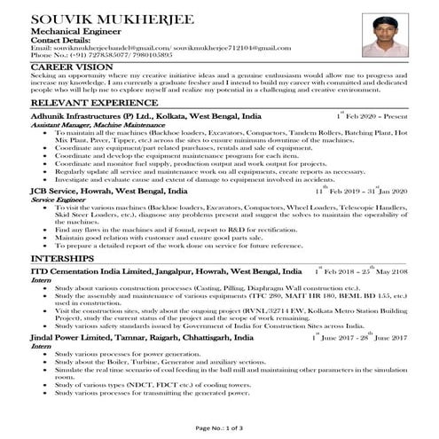 Curriculum vitae | PDF