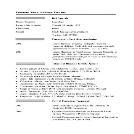 Curriculum vitae | DOCX