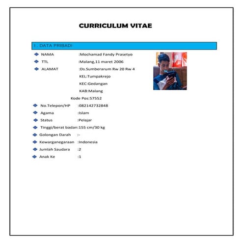 Curriculum vitae | DOCX