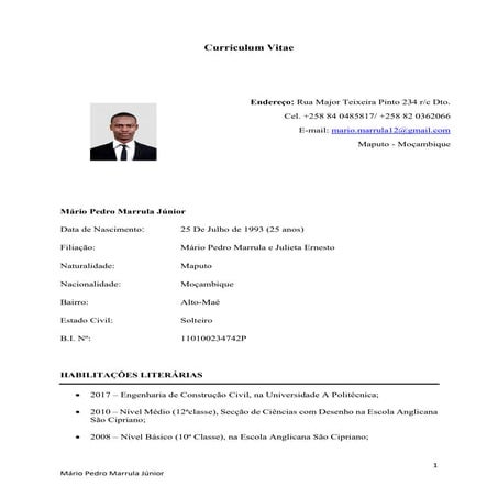 CURRICULUM VITAE (PORTUGUES) actual | PDF