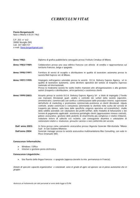 Curriculm vitae | PDF