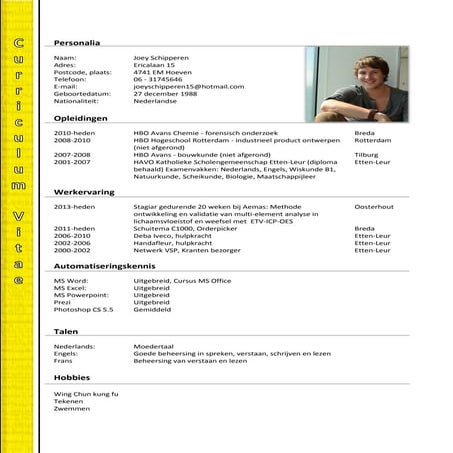 Curriculum vitae 2014 | PDF