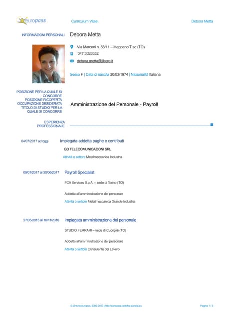 CV mario negri | PDF | Technology & Computing