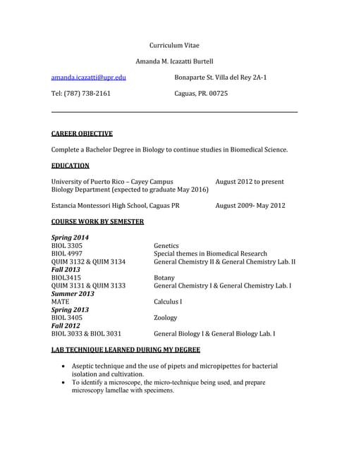 CURRICULUM VITAE | PDF