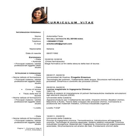 Curriculum vitae antonietta fava | PDF