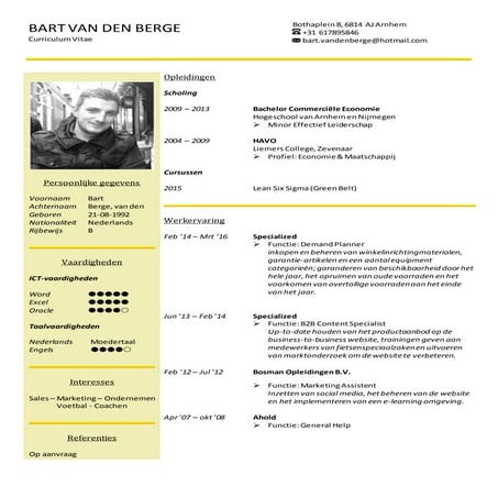Curriculum Vitae Bart van den Berge | DOCX