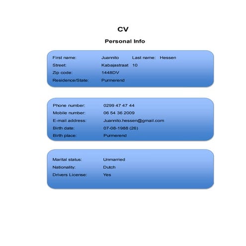 Curriculum vitae (english) | DOCX