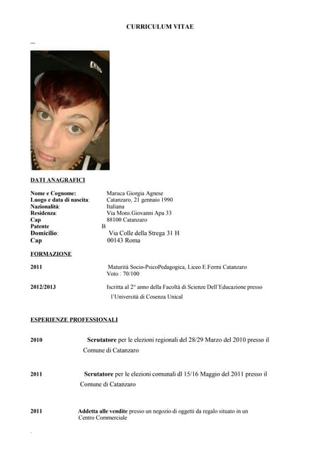 Curriculum Daniele Rina | PDF