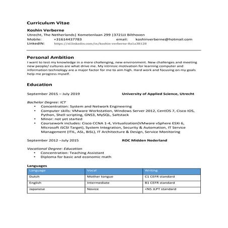 Curriculum vitae (international) | PDF