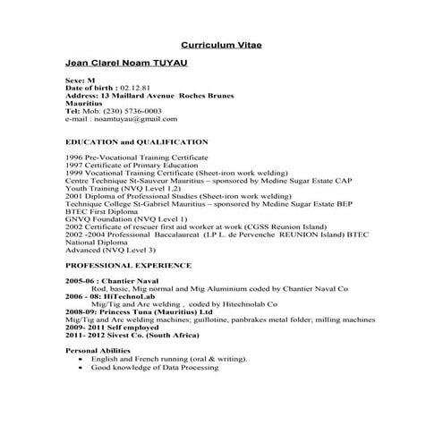 Curriculum vitae noam eng | DOC