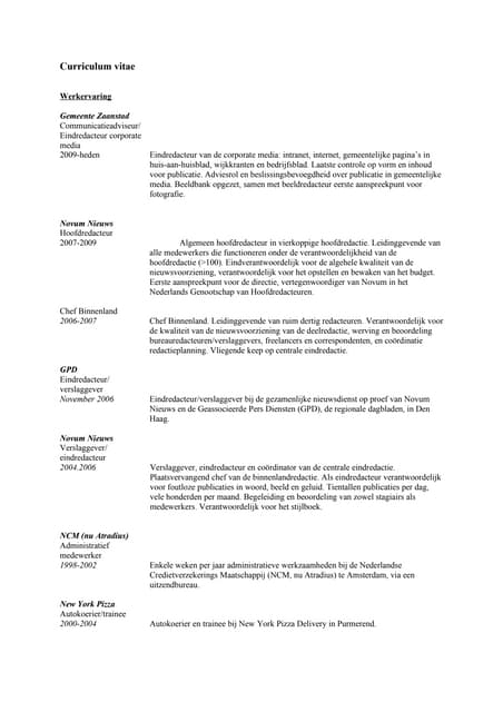 Cv Mauro van de Pol | PDF