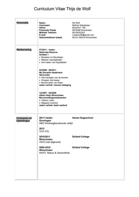 Curriculum vitae | PDF