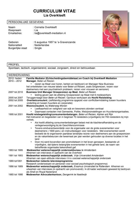 Curriculum vitae | PDF