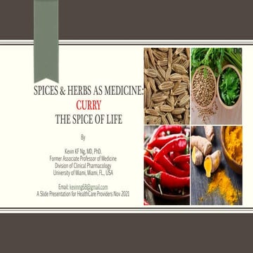 Curry, the spice of l ife | PDF