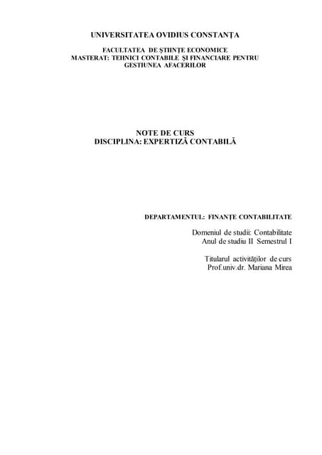 Final expertiza contabila - anul iii | PDF