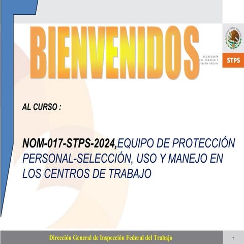 NOM-017-STPS-2024_Resumen_y_Comparativo.pptx