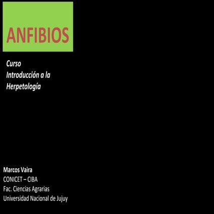 Anfibios | PPT
