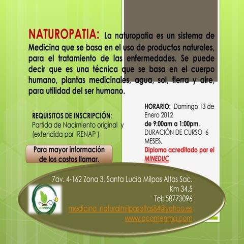 Curriculum vitae gloria aranda terapia complementarias | DOCX