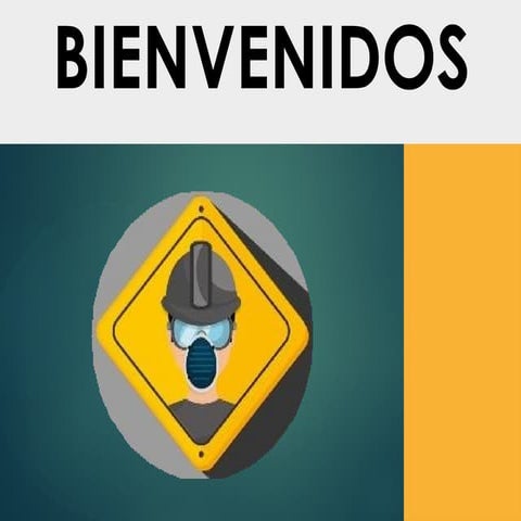 NOM-009-STPS-2011_ Seguridad en Trabajos en Altura (1).pdf