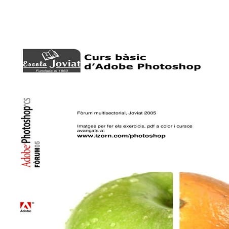 Curs pràctic photoshop cs en català | PDF