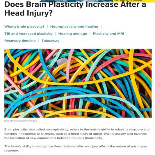 Does Brain Plasticity Increase After a Head Injury? | PDF