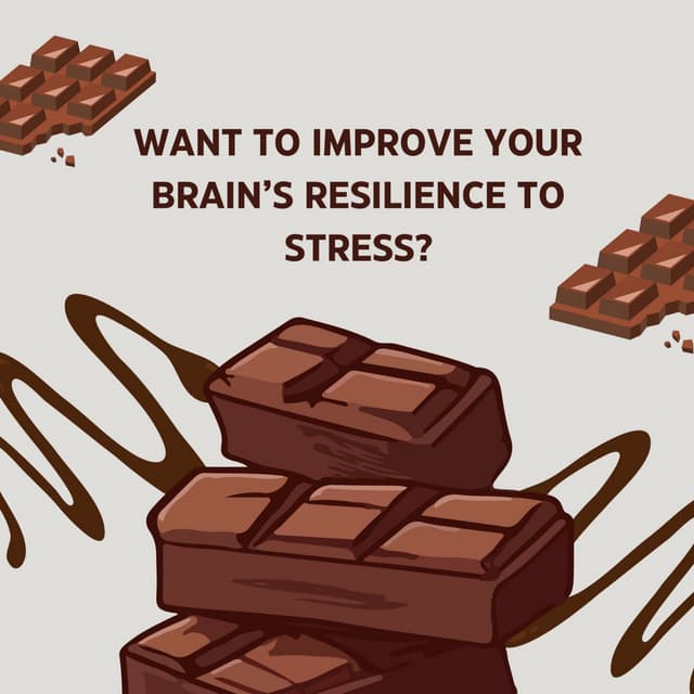 Want to improve your brain’s resilience to stress? | PDF