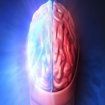 Curtis Cripe: Emotional Balance Through Probiotics | PDF