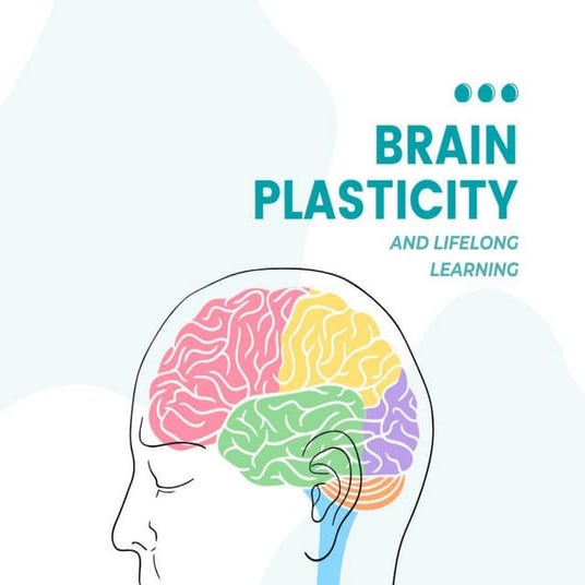 Lifelong learning taps into brain plasticity | PDF