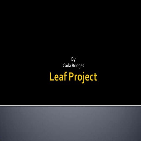 Leaf Collection | PPTX | Landscaping | Home & Garden