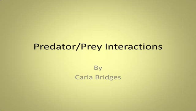 Predator Prey Interaction