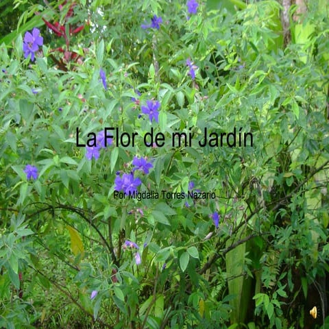 La Flor de mi Jardin | PPS