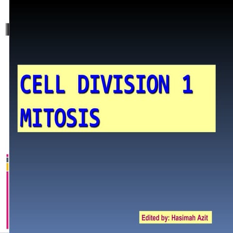 Human cell division | PPT