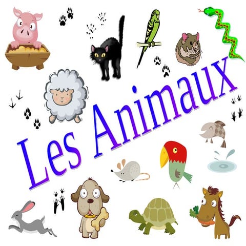 Les Animaux | PPT