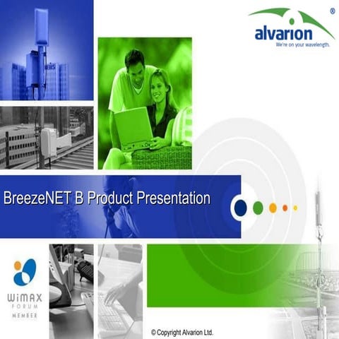 Alvarion PTP Link Solutions | PPT
