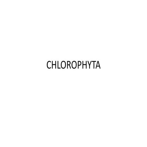 Ectocarpus Pptx