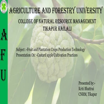 Custard apple Cultivation practices in Nepal | PPTX