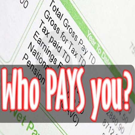 who pays you? | PDF