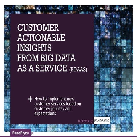 Customer actionable insights from big data as a service | PDF ...