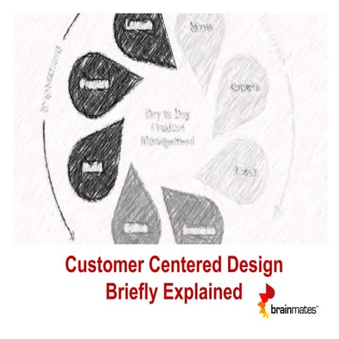 Customer Centered Design - Briefly Explained | PDF