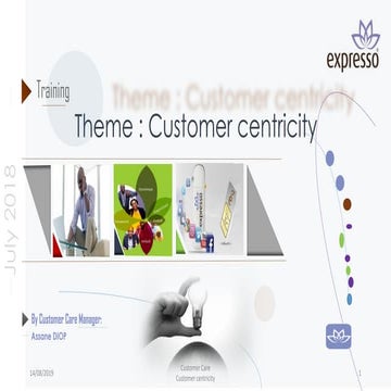 Customer centricity | PDF