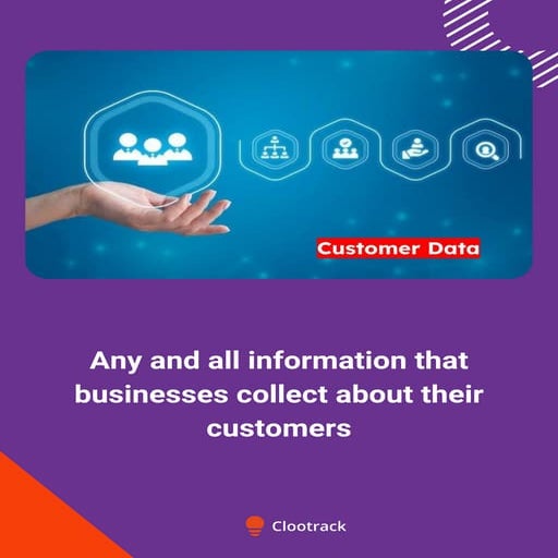 The Power of Customer Data: Insights for Business Success | PDF
